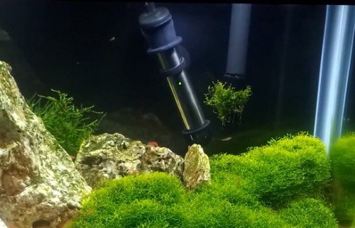 Best small heaters (5-25W) for nano Betta fish tanks 1-5 gallons